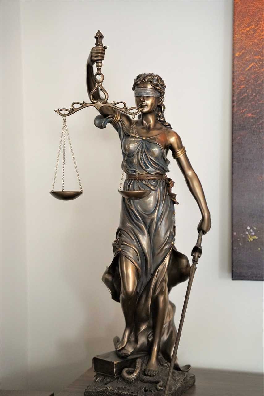 Small Claims Paralegal | YLAW | Expert Legal Services Ontario